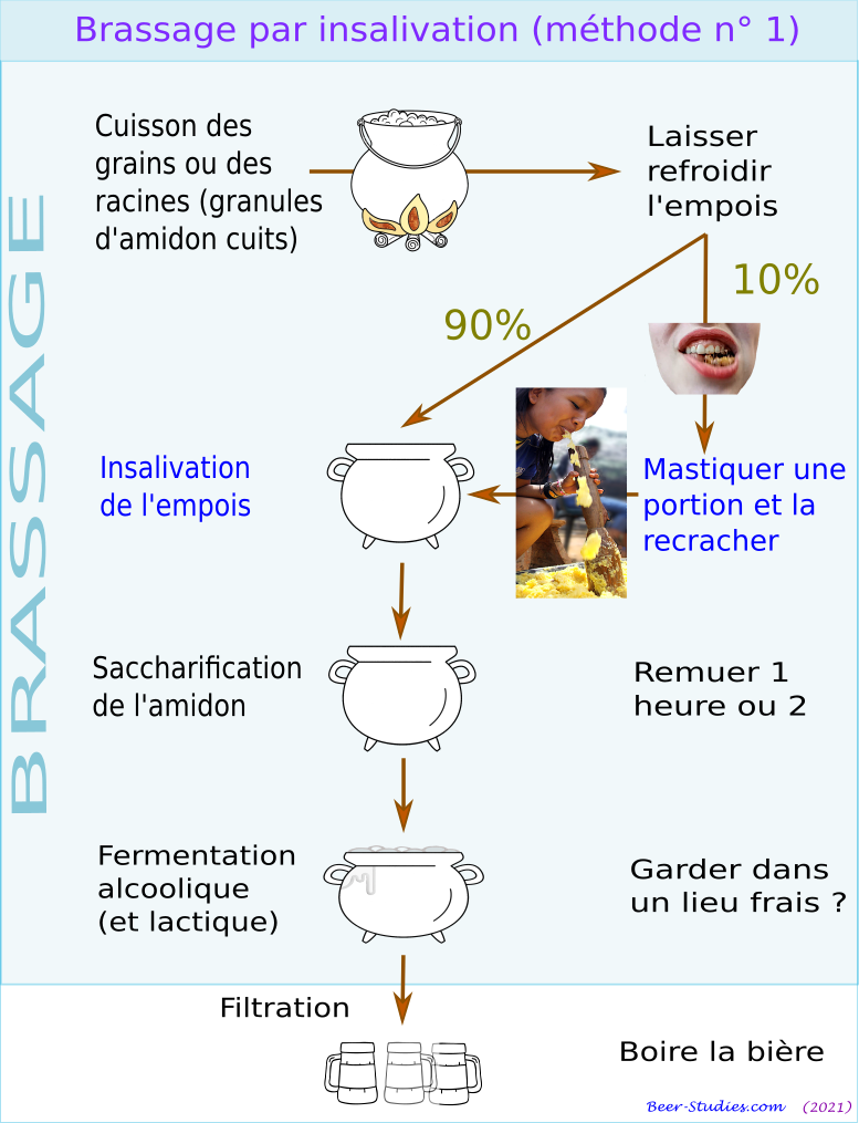 Voie n° 1 = insalivation d'une pâte amylacée - Beer Studies
